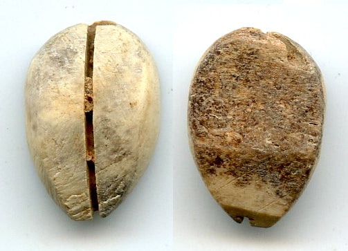 Ancient bone cowrie-coin (no teeth/holes), W.Zhou, 1046-771 BC, China ...