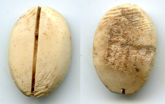 Ancient bone cowrie-coin (no teeth/holes), W.Zhou, 1046-771 BC, China ...