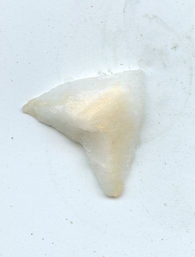 Chalcedony fishtail triangle arrowhead, North Africa, late Neolithic ...