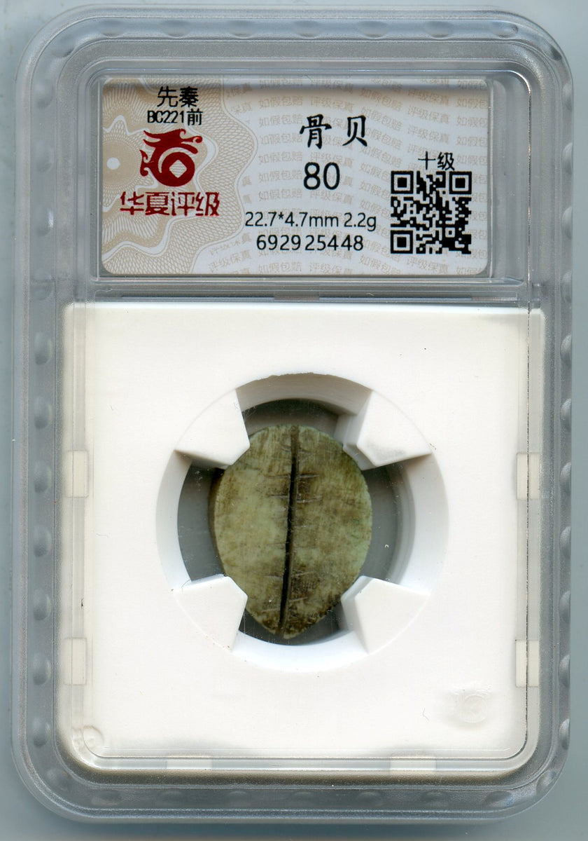Certified bone cowrie coin - earliest coinage of China! W.Zhou (1046-7 ...