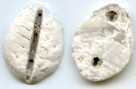 Rare mother of pearl cowrie-coin, W.Zhou dynasty (1046-771 BC), China ...