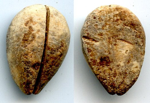 Ancient bone cowrie-coin (no teeth/holes), W.Zhou, 1046-771 BC, China ...