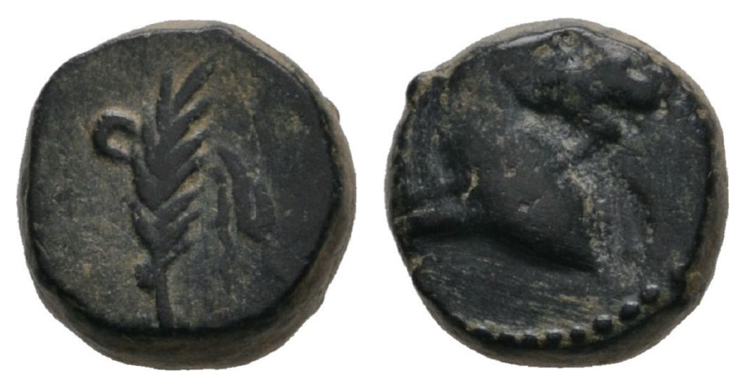 Rare AE10 of the Roman client King Archelaus (?) (ca. 36-14 AD), Cappa ...