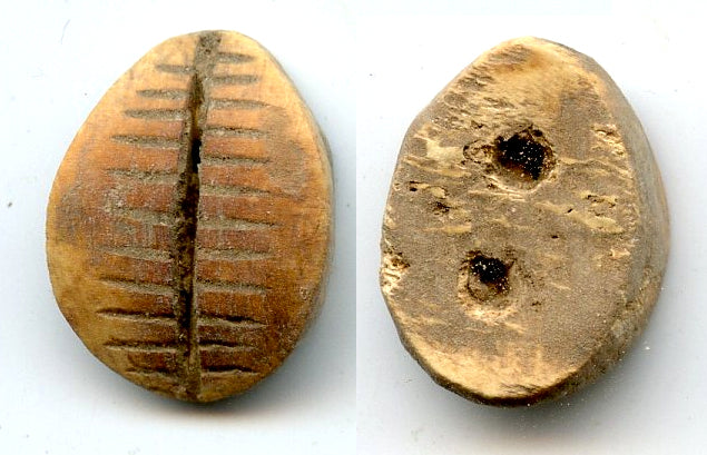 1046-771 BC - Primitive bone cowrie-shell imitation - earliest coins ...