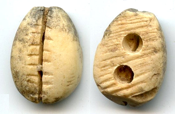 1046-771 BC - Primitive bone cowrie-shell imitation - earliest coins ...