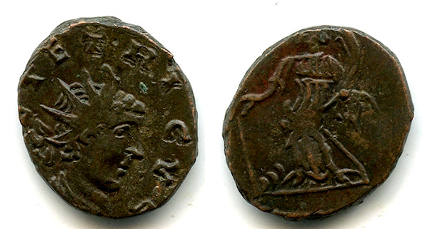 Beautiful barbarous radiate of Tetricus II, c.270-280 AD, Roman Gaul – ACC