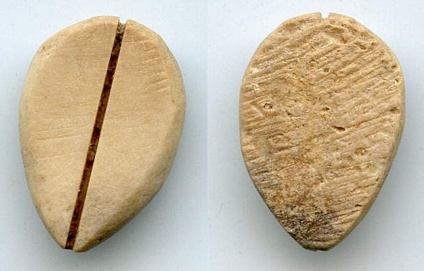 Primitive bone cowrie-shell coin, W.Zhou dynasty (1046-771 BC), China ...